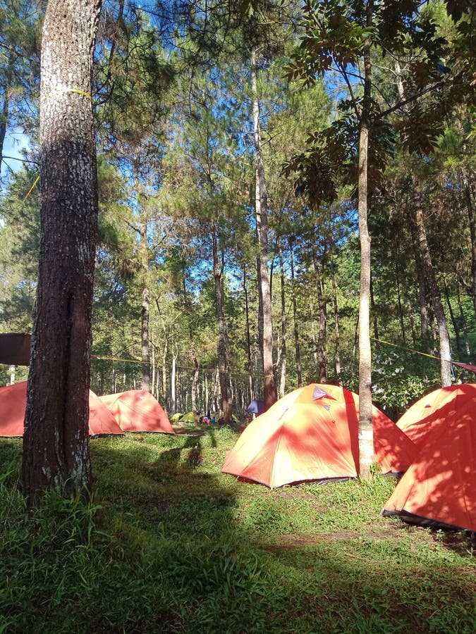 Bedengan Stock Photos - Free & Royalty-Free Stock Photos from Dreamstime