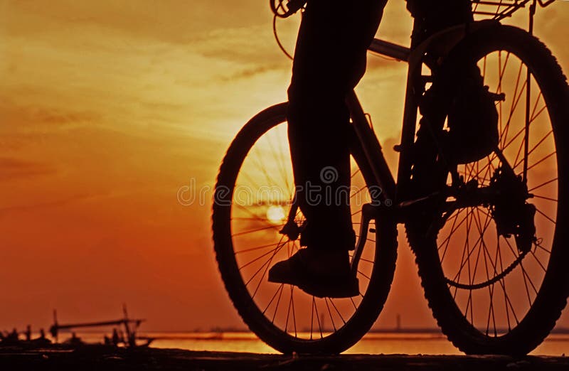 Morning Bike stock photo. Image of speed, pedal, peaceful - 11912484