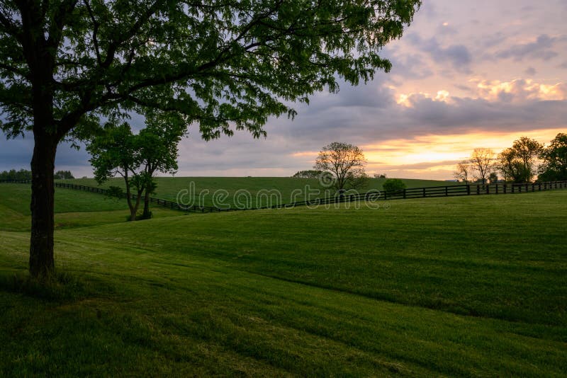 Morning Breaks Over Rolling Kentucky Fields Stock Image - Image of farm ...