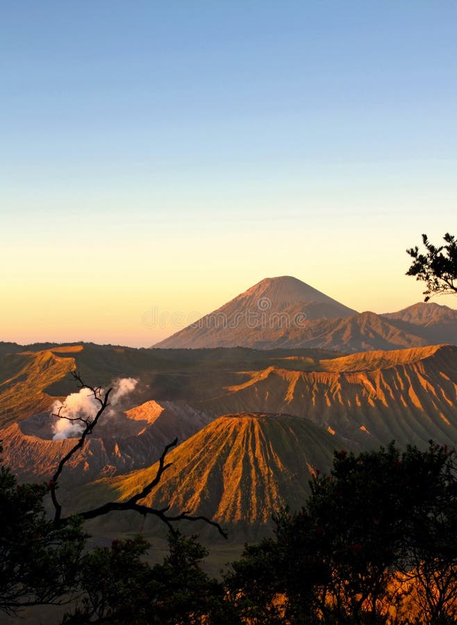 Morning Bromo stock photo. Image of java, scenery, tengger - 16111410