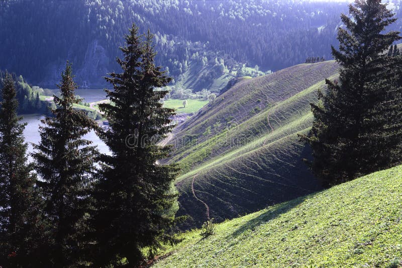 Morning on bugle declivity stock image. Image of matutinal - 10371013