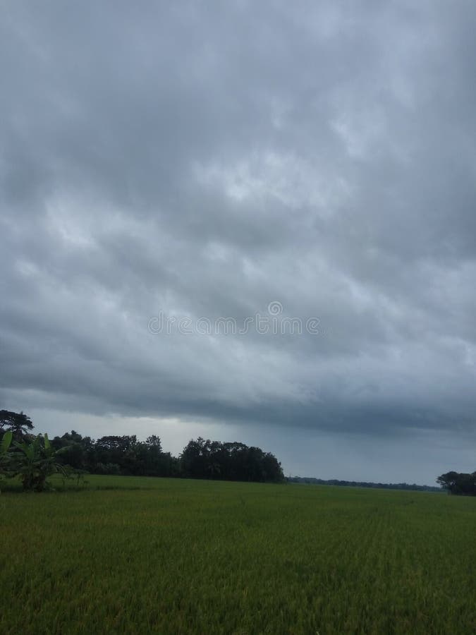 Morning cloud in the farm stock image. Image of tree - 210293569