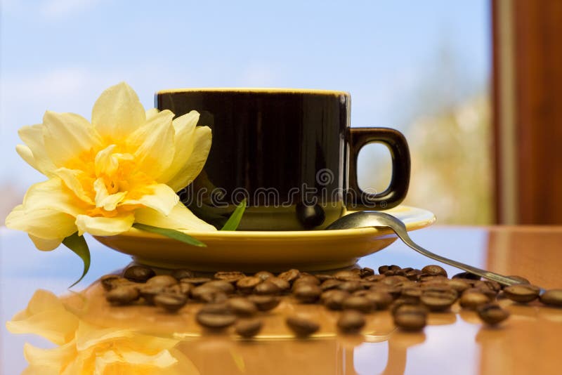 38,651 Spring Morning Coffee Stock Photos - Free & Royalty-Free Stock ...