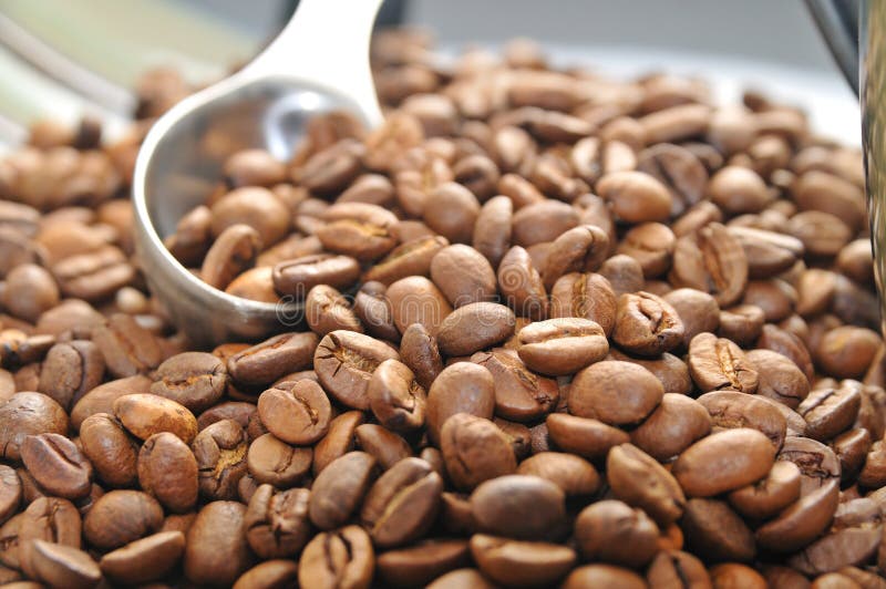 Morning Coffee stock image. Image of plate, roasted, beans - 7066227
