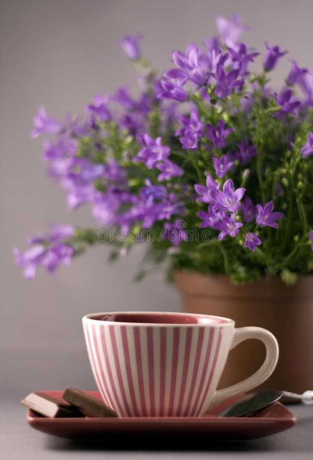 Cup of Coffee in Spring Flowers Stock Photo - Image of space, delicious ...