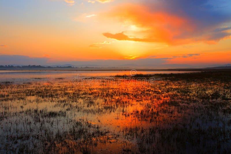 Morning Colors stock photo. Image of sunshine, sunrise - 6725974