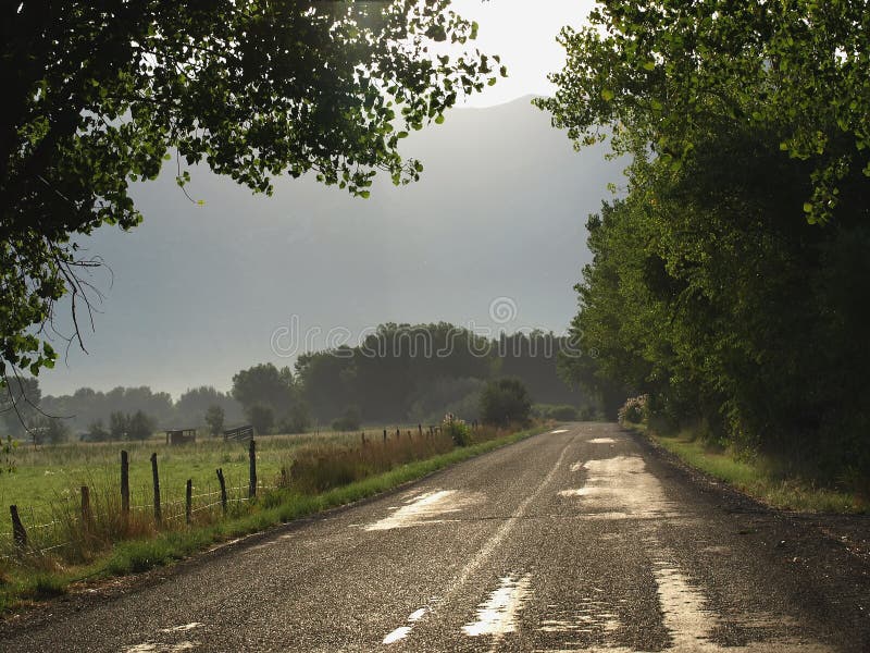 Morning country road stock photo. Image of ride, rural - 3166994