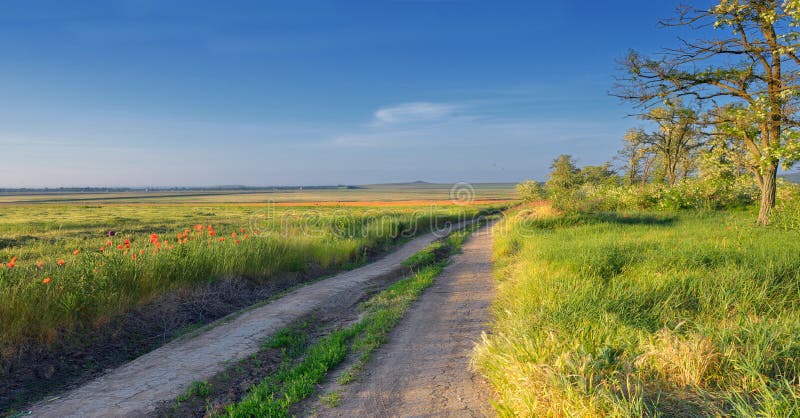 The morning country road stock image. Image of dusk, idyllic - 31114723