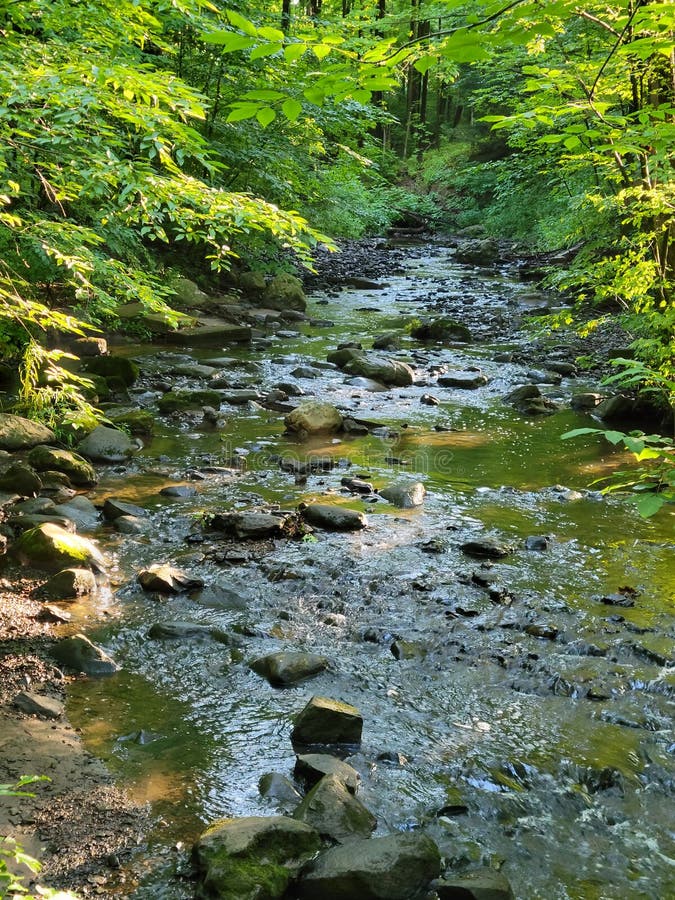 Morning Creek Running Water Over Rocks Stock Photos - Free & Royalty ...