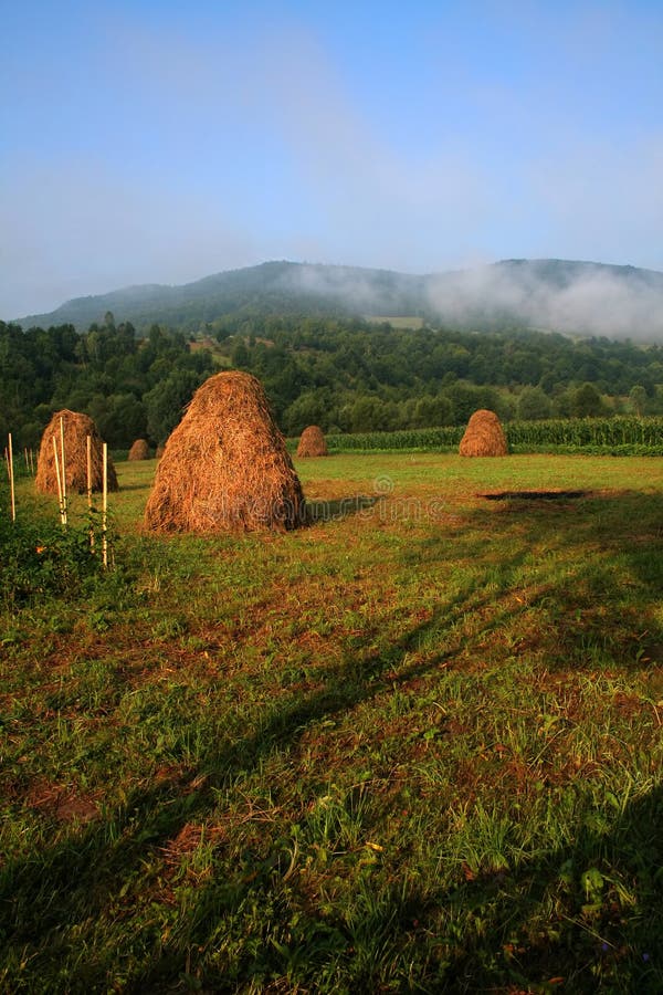 Morning Day at the Country Side Stock Photo - Image of mountains, ozone ...