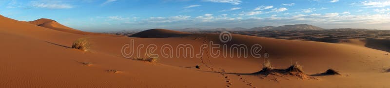 Morning in desert stock photo. Image of arid, panorama - 112259928