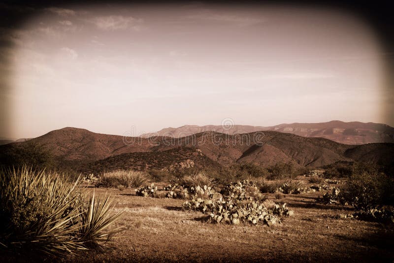 Morning in the Desert stock photo. Image of america, sunrise - 41752502