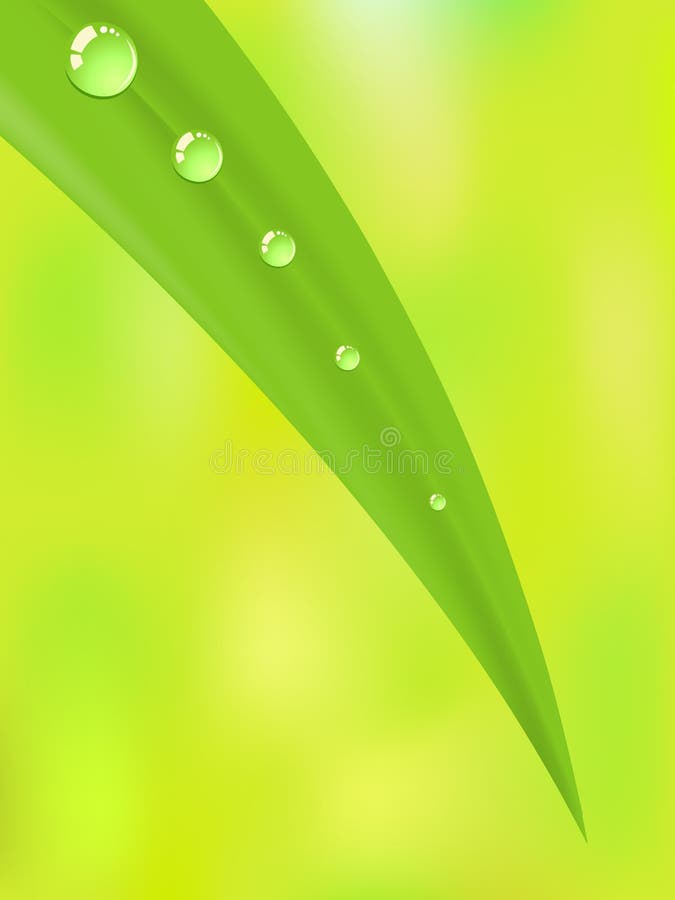 Morning Dew stock vector. Illustration of abstract, life - 12327613