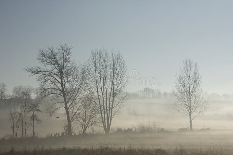 Morning dew stock photo. Image of light, hungary, grass - 64261898