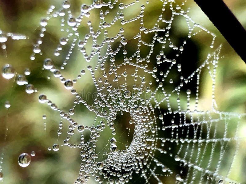 Morning Dew on a Spider Web. Beautiful Composition Like a Galaxy and ...