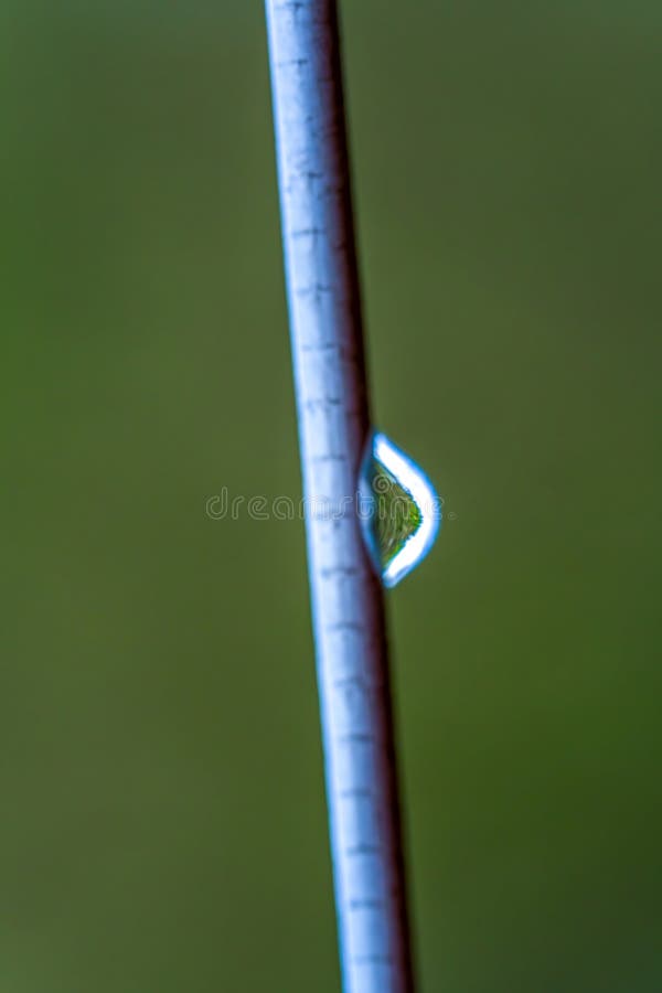 Morning Drew Drop on a Line Stock Photo - Image of object, string ...