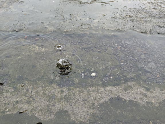 Morning Drizzle on the Lawn Stock Image - Image of stone, drizzle ...