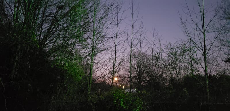 Morning stock image. Image of morning, early, sunrise - 136529021