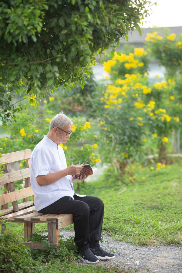 The Elderly Sit and Read in the Garden Stock Image - Image of lifestyle ...