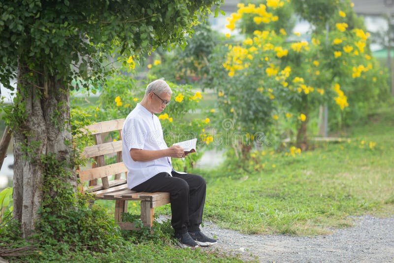 69 Old Man Sitting Under Tree Park Photos - Free & Royalty-Free Stock ...