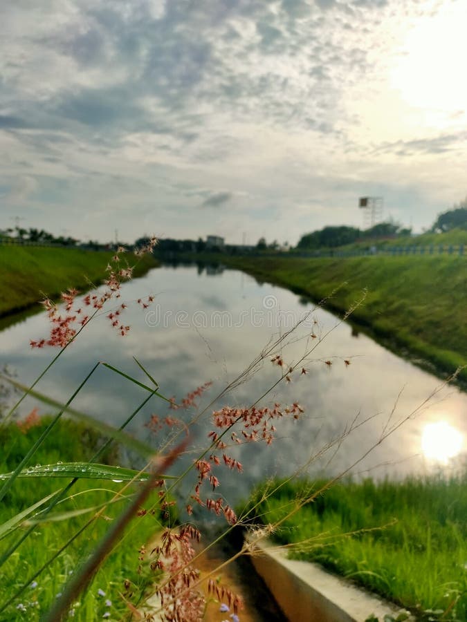 Morning at Embung a ITERA Lampung Stock Image - Image of reflection ...