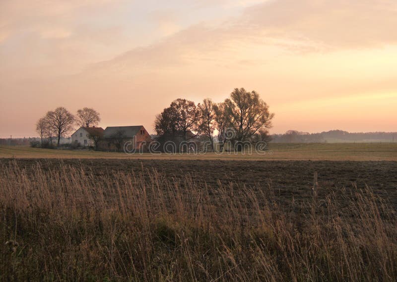 Morning farm stock image. Image of farm, earth, morning - 1534937