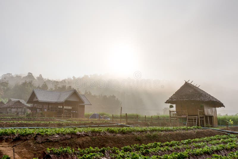 Morning on the farm stock image. Image of cabin, holiday - 40948427