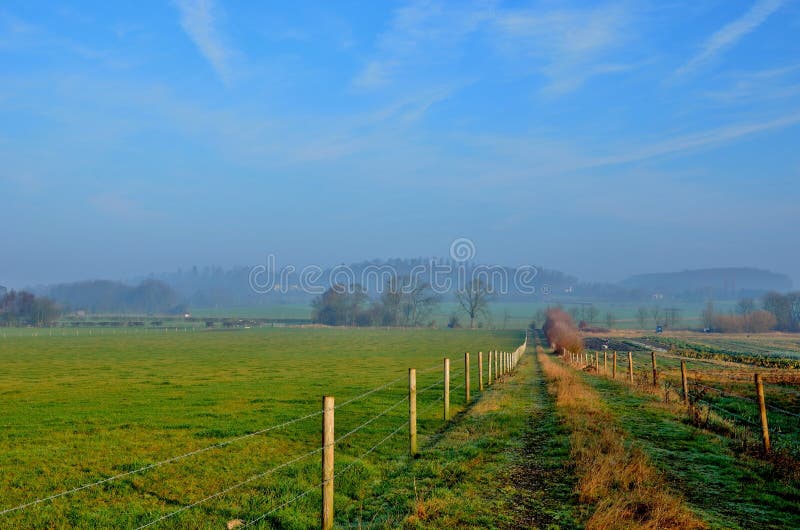 Morning in the farm stock photo. Image of landscape - 108981464