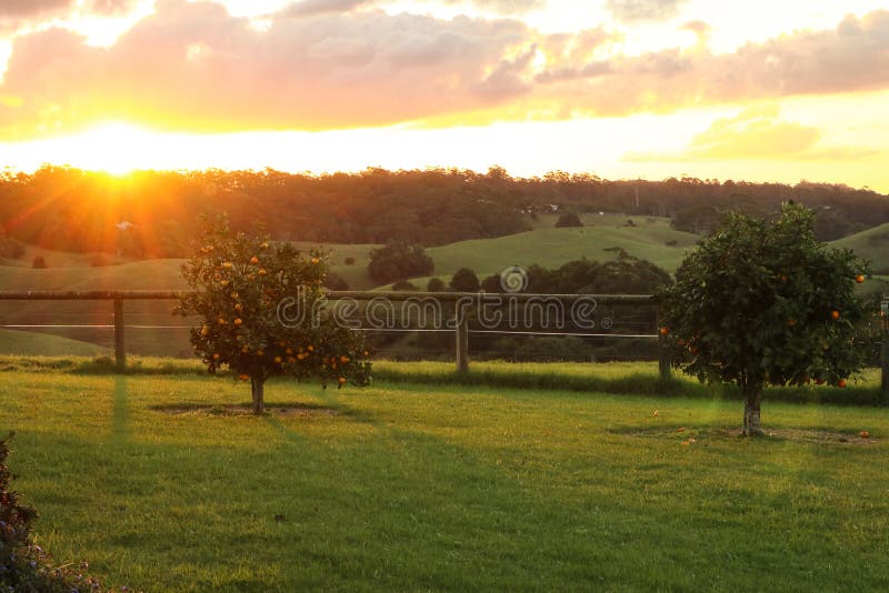 Morning Farm Scene stock photo. Image of queensland, scenic - 93598768