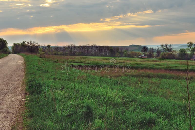 Morning field stock image. Image of morning, park, trees - 40378699