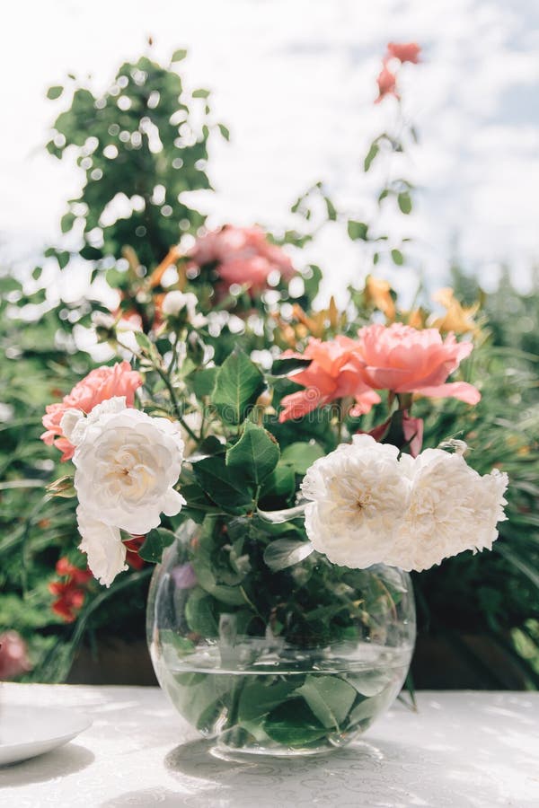 Spring Morning with Flowers Stock Photo - Image of morning, beautiful ...