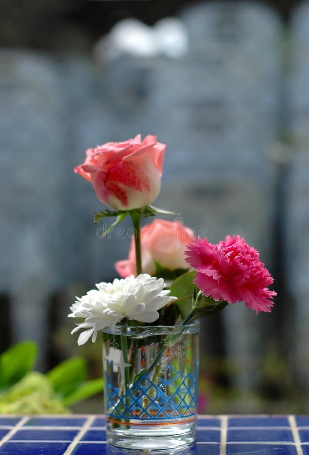 Morning flowers stock image. Image of exterior, white, smell - 423039