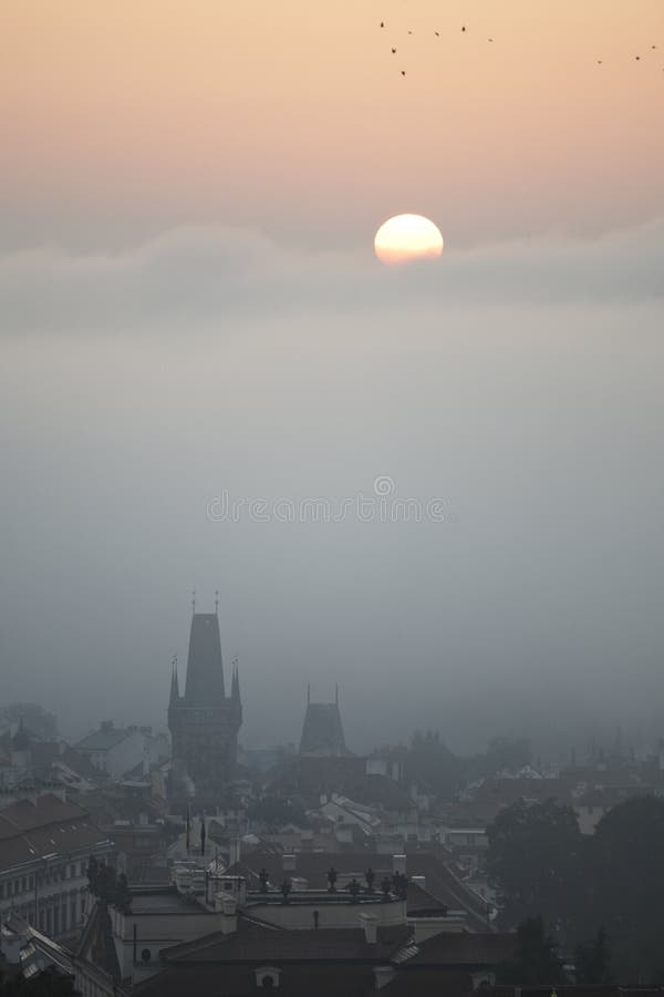 Morning fog stock image. Image of morning, exterior, early - 21451839