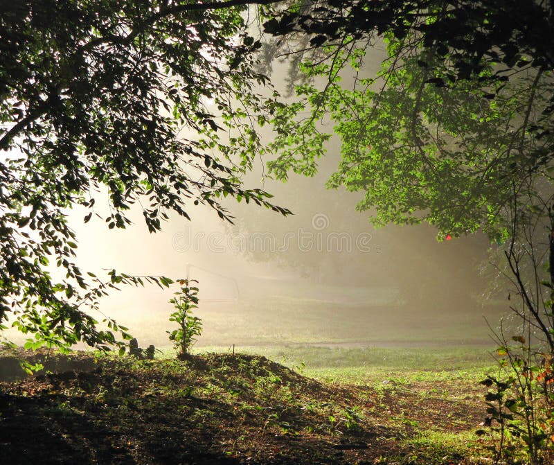 Morning Fog Picture. Image: 25960545