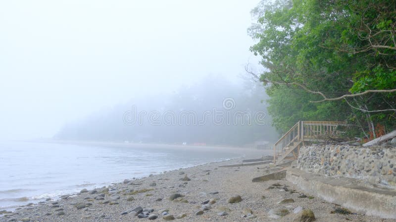 Morning fog at the beach stock photo. Image of cloud - 262018054