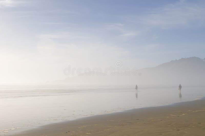 Man on foggy beach stock photo. Image of natural, mist - 6768704