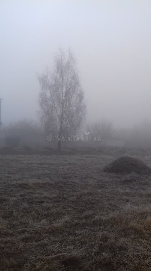 Morning Fog in the Countryside Stock Image - Image of cloud, nature ...