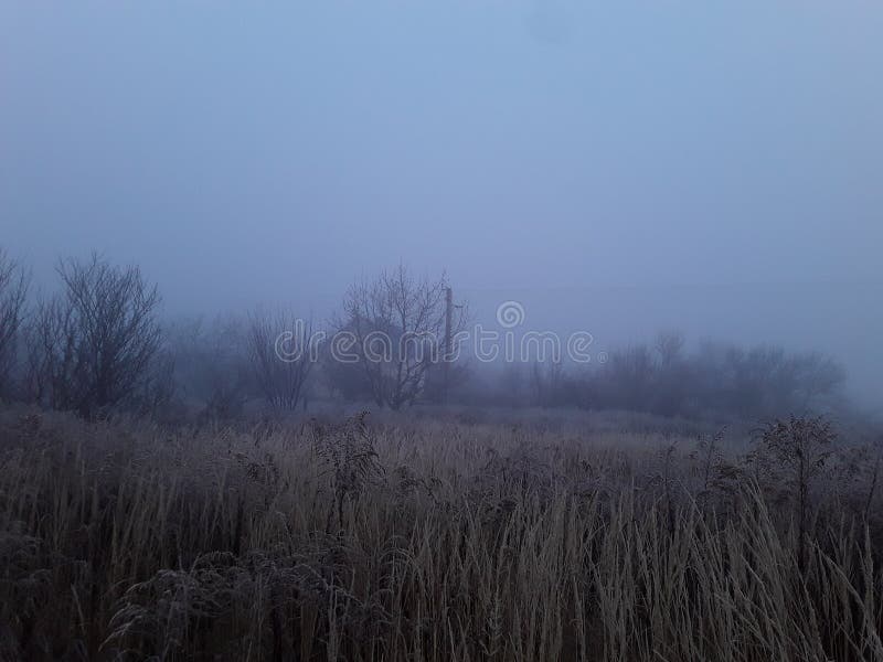 Morning Fog in the Countryside Stock Photo - Image of green, foliage ...