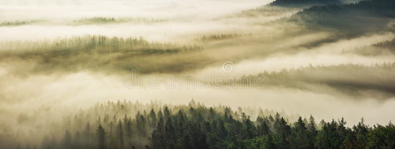 Morning Fog Flowing Over Hills Covered by Fog Stock Photo - Image of ...