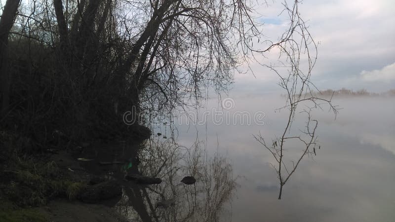 Sea of autumn fog stock photo. Image of clearsky, barbedwire - 102732070