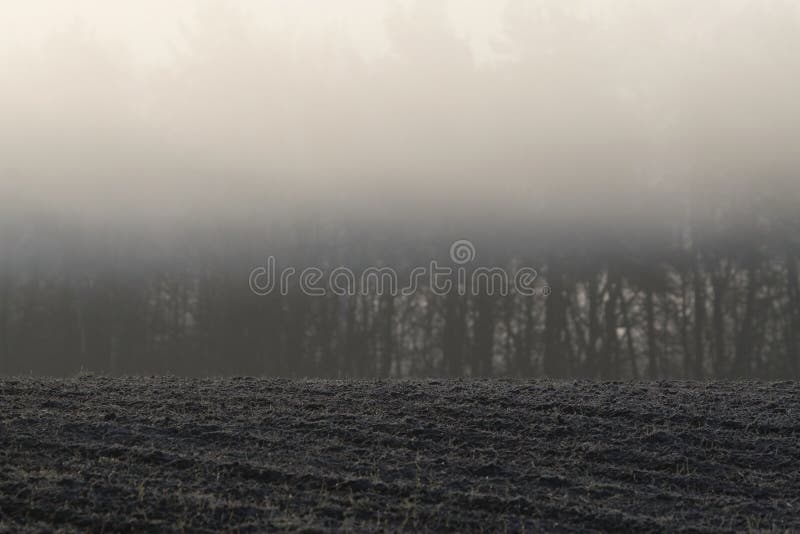 Morning Fog Over Arable Land Stock Photo - Image of agricultural ...