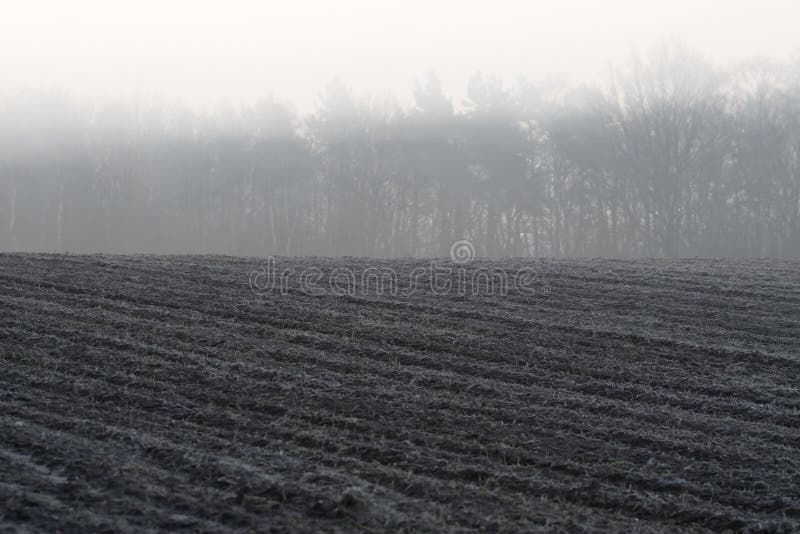 Morning Fog Over Arable Land Stock Image - Image of farmland, arable ...