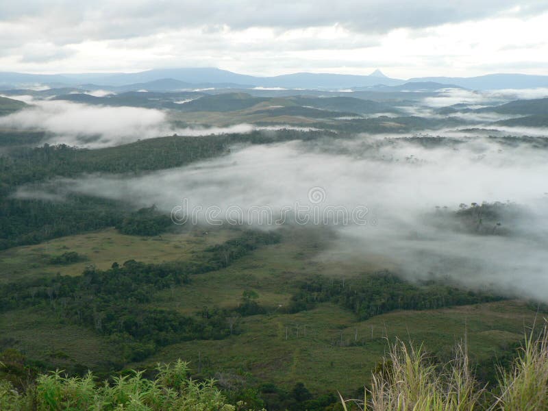 Morning fog over savannah stock image. Image of tepui - 1031265
