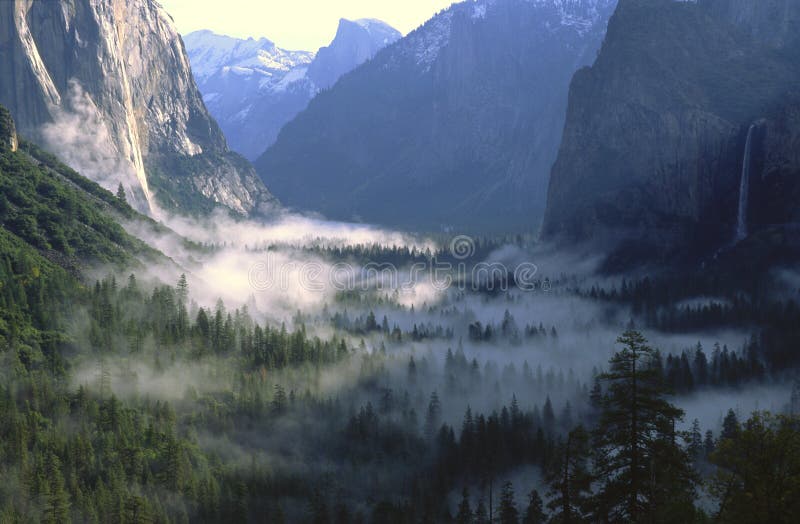 Morning Fog Over Yosemite Valley Stock Photo - Image of yosemite, walls ...
