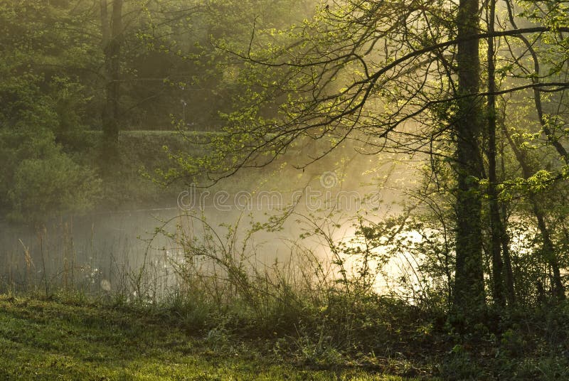 Morning fog on Pond stock photo. Image of spring, quiet - 4205446