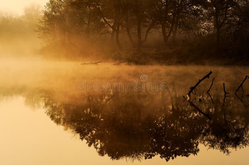 Morning fog on river stock photo. Image of imagery, tree - 16808588