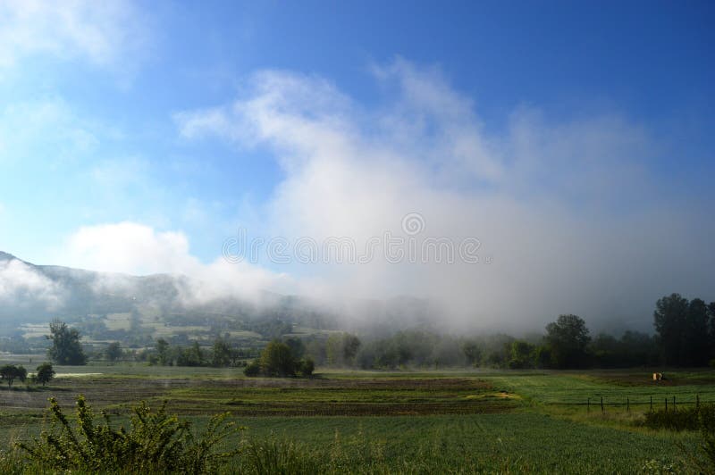 Morning fog in spring stock image. Image of grass, forest - 186065569