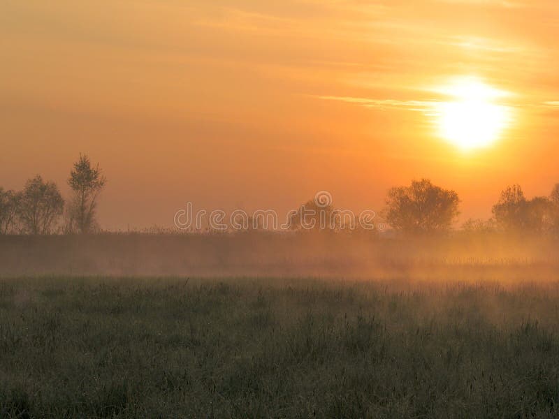 Morning foggy. stock image. Image of horizon, clouds, backdrop - 547365
