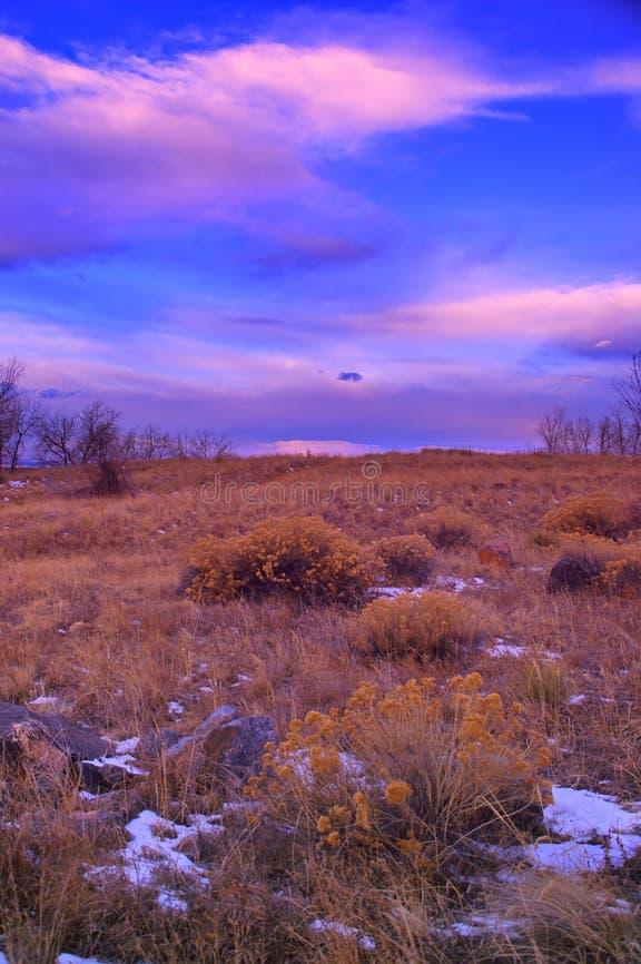 Morning Freshness stock photo. Image of colorado, morning - 8367926