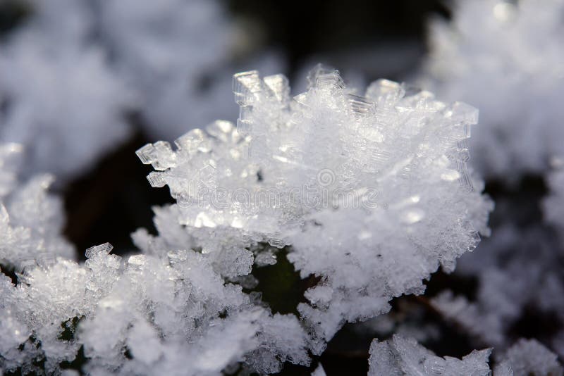 Icy Crystals Developed from Hoarfrost Stock Image - Image of morning ...